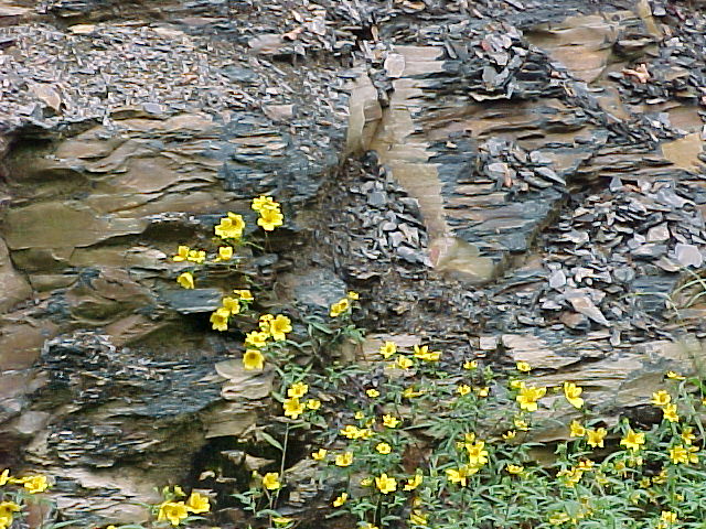 Russell County, Kentucky